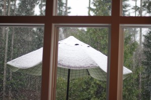 Red Alert: Major Snow Storm Headed to Seattle Tonight! - One Hundred ...