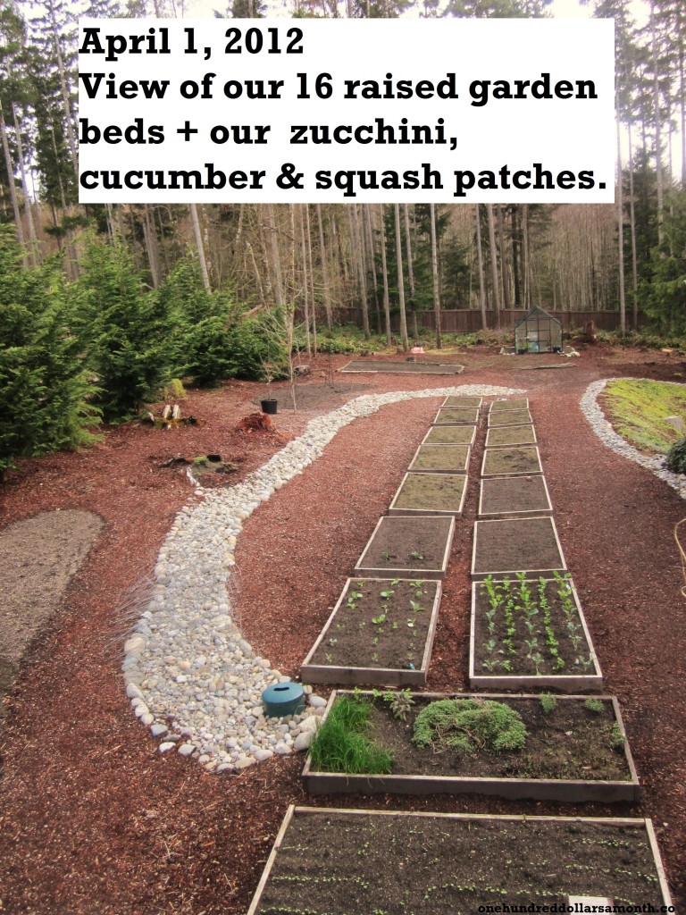How to Grow Your Own Food: Garden Plot Pictures Update - One Hundred ...