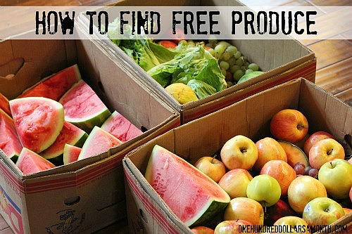 How to Get Free Food Week #27 – Reclaimed Food Show and Tell - One ...
