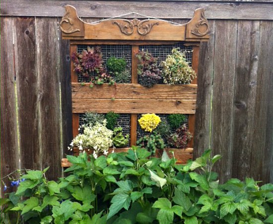 Wood Pallet Garden Ideas With Pictures One Hundred Dollars A Month