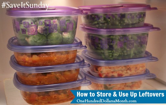 How to Store and Use Up Leftovers - One Hundred Dollars a Month