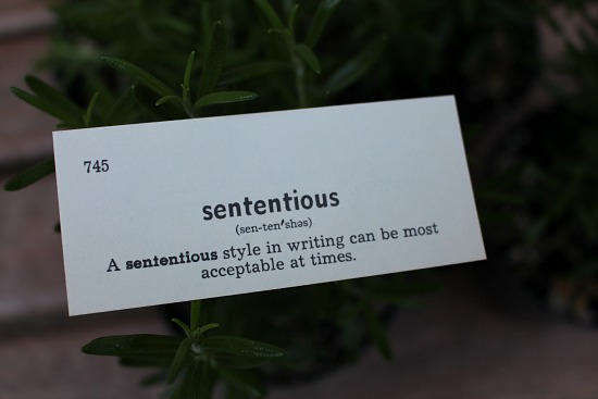 Free Kindle Books, TOMS Sale, Free RedBox Rental, Mascara, Cookies ...