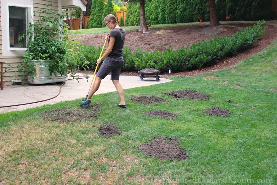 Mavis Butterfield | Backyard Garden Plot Pictures 7/15/15 - One Hundred ...