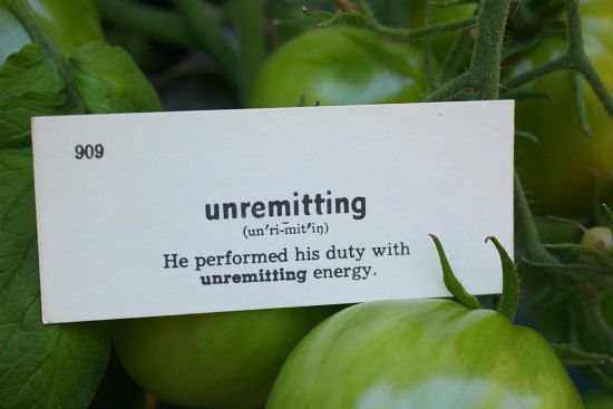 Free Kindle Books, American Girl Sale, School Supplies, Apricot Jam ...