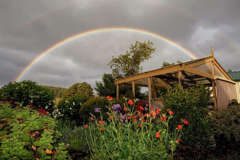 Lisa From Tasmania Shows Off a Beautiful Australian Spring - One ...