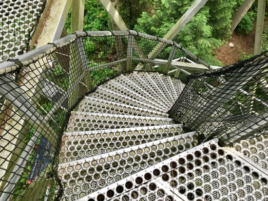 The Greenheart TreeWalk at the UBC Botanical Garden - One Hundred ...
